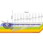 5 Process in Multichannel Analysis of Seismic Waves (MASW)